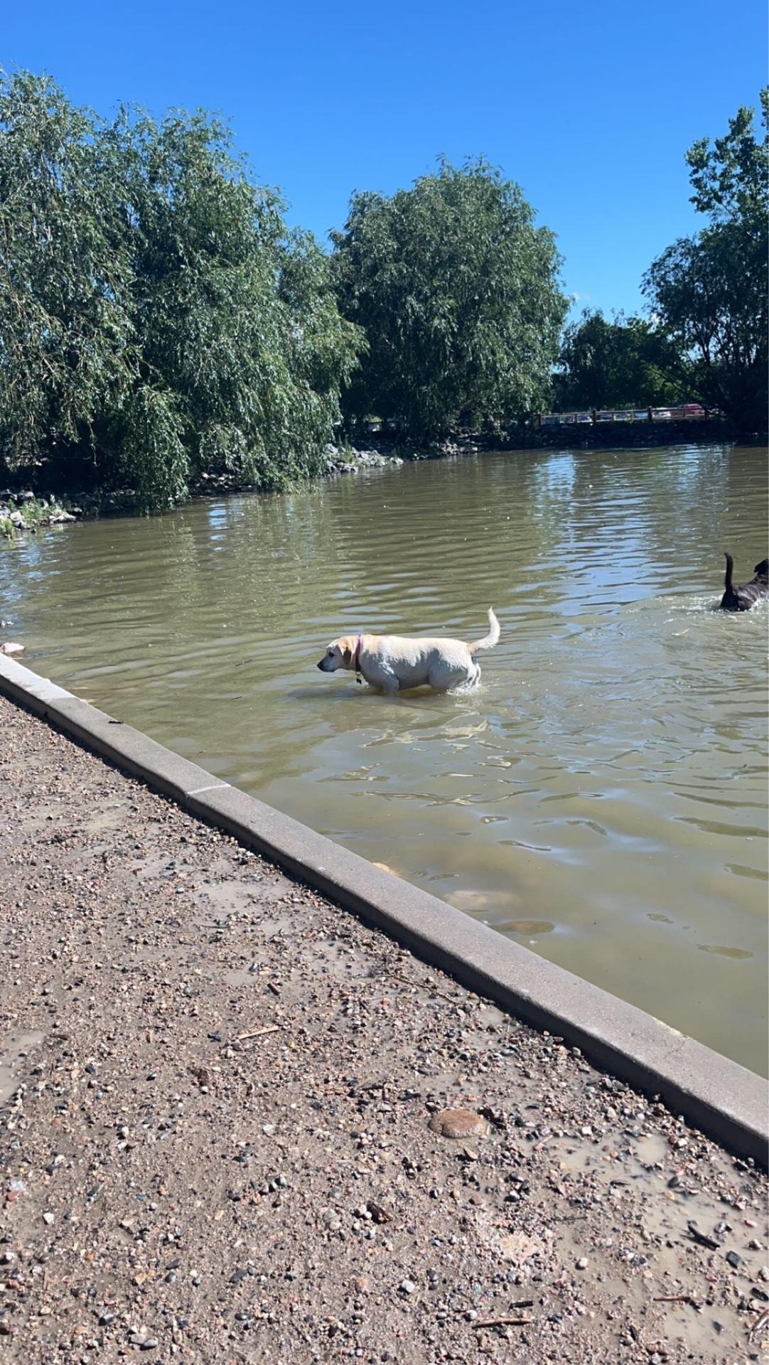 Spring Canyon Dog Park