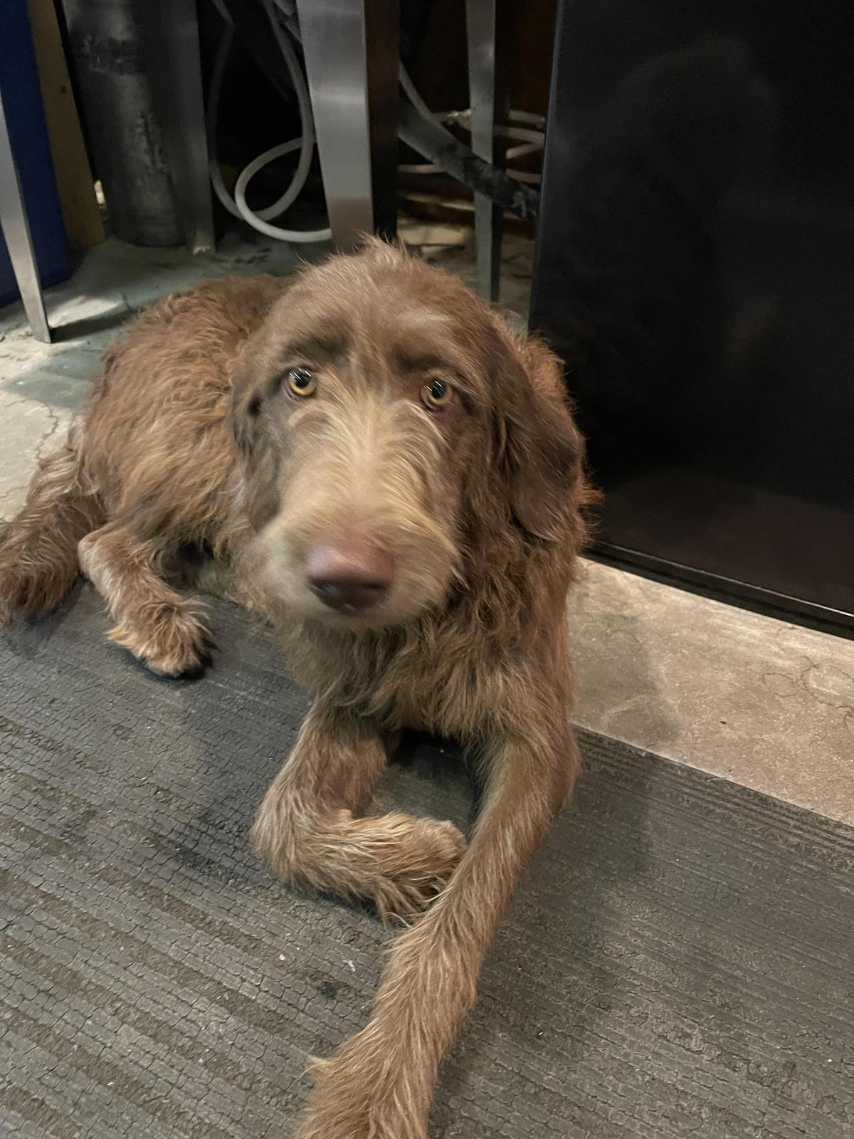 empty pockets saloon