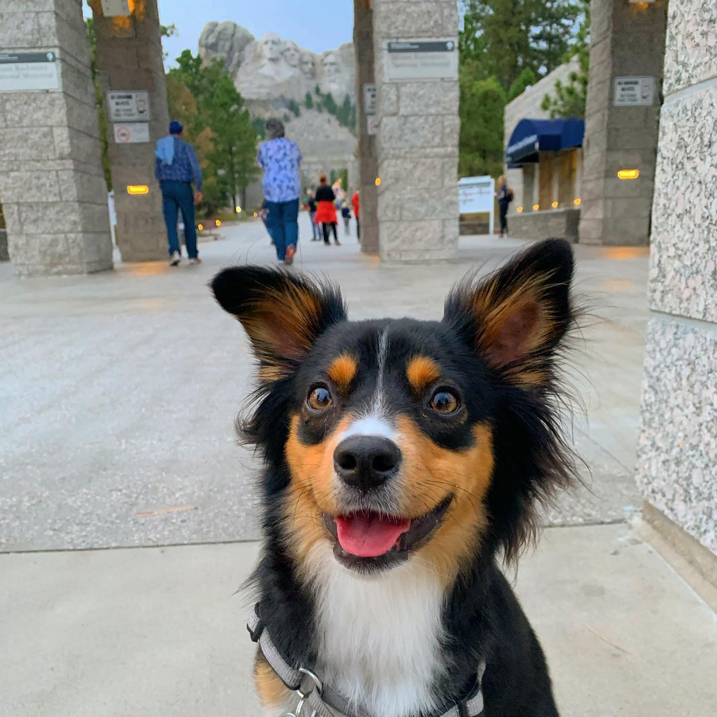 Mount Rushmore National Memorial