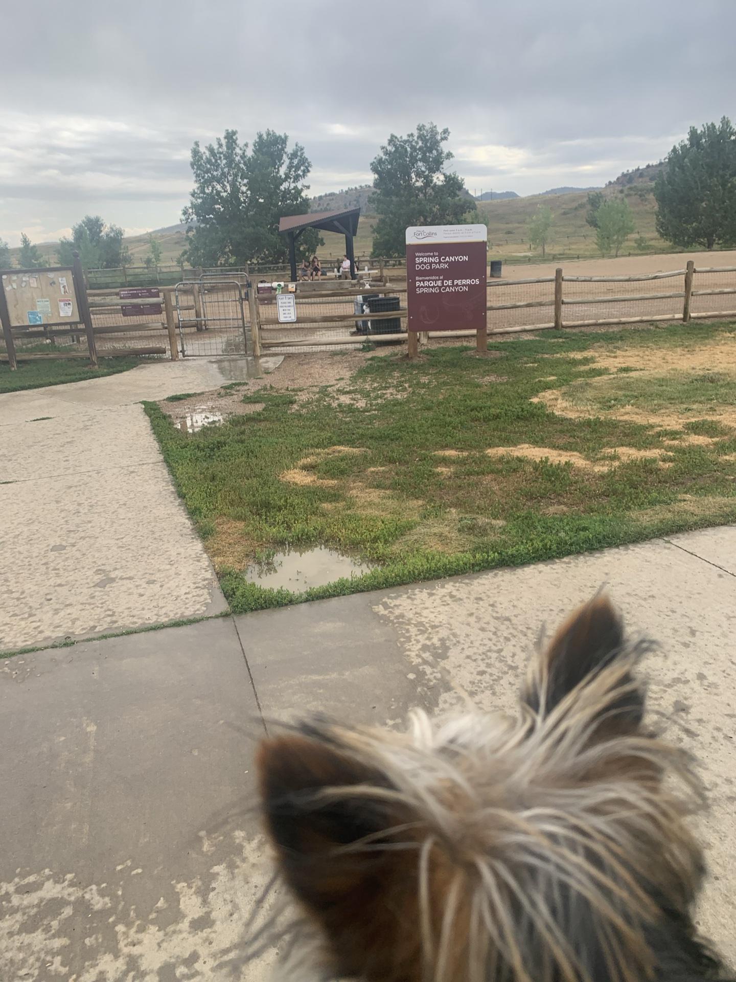 Spring Canyon Dog Park