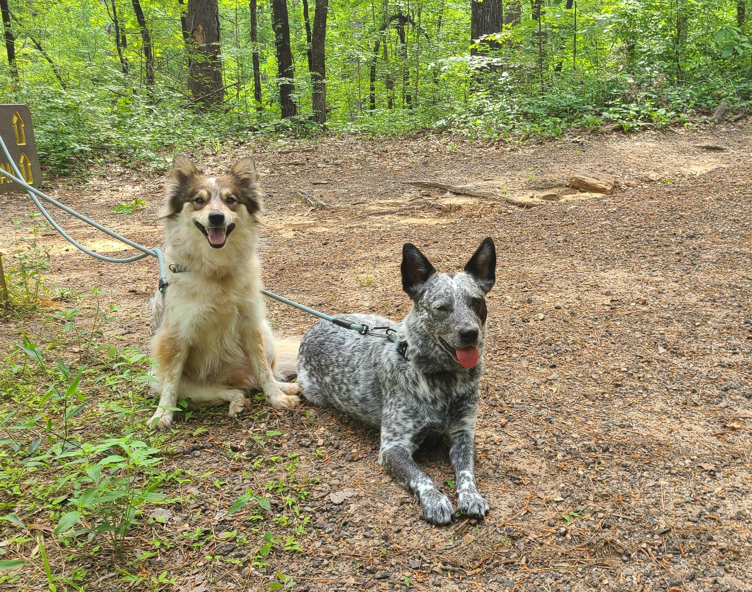 Caddo Lake State Park