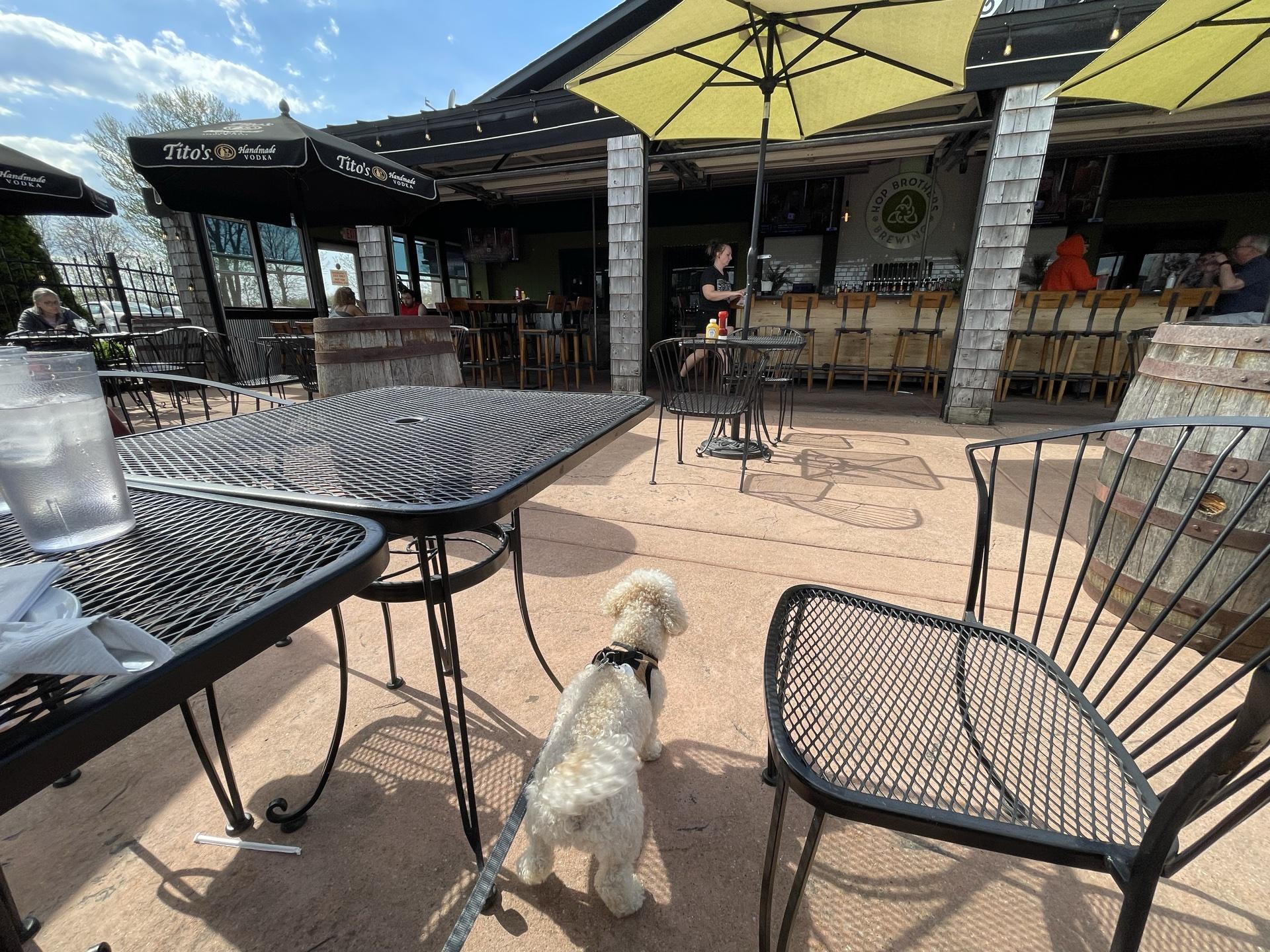 Hop Brothers Brewing Pet Policy