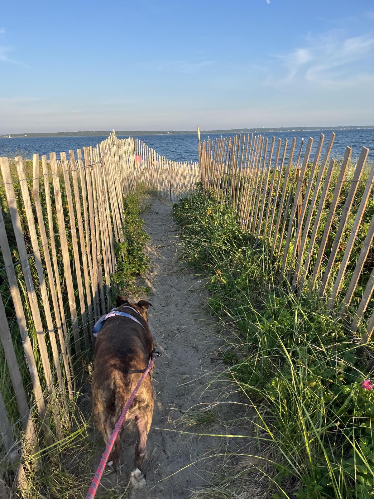 Compass Rose Beach