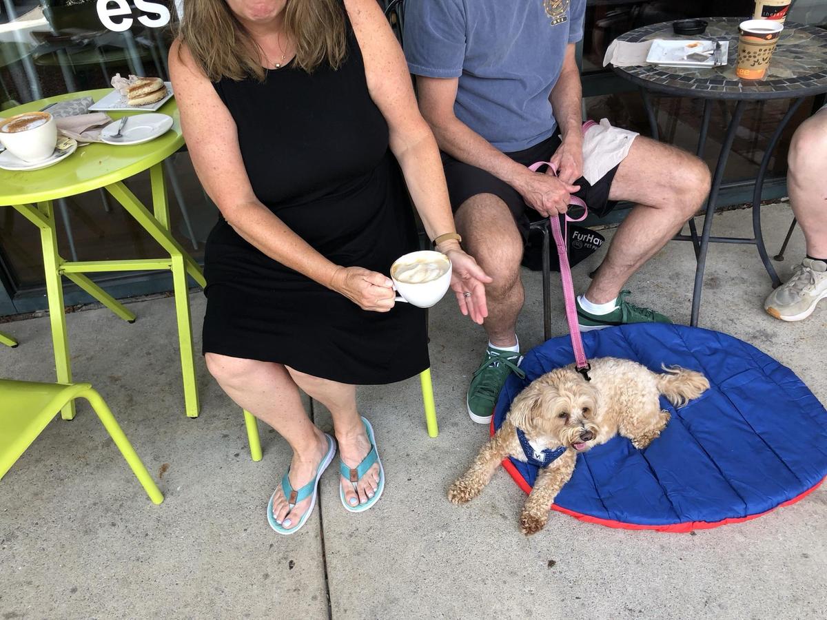 Dog Friendly Restaurants in Chelmsford, MA - BringFido