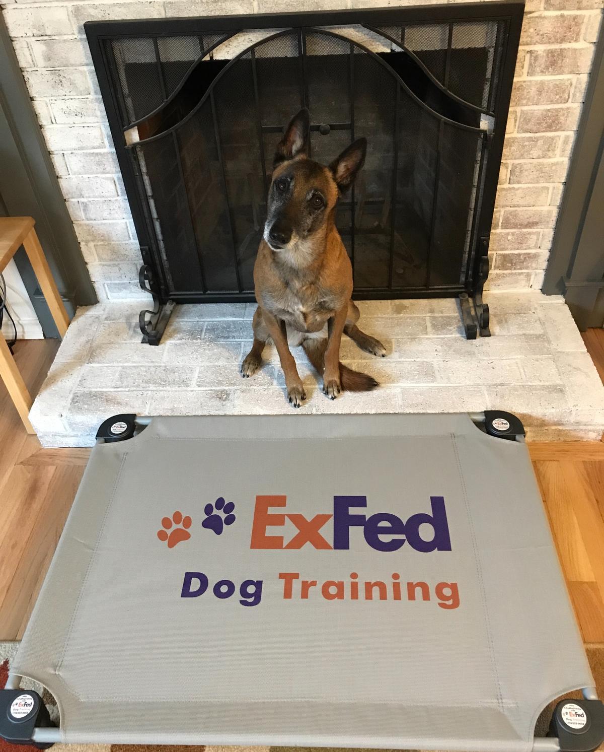 ExFed Dog Training, LLC