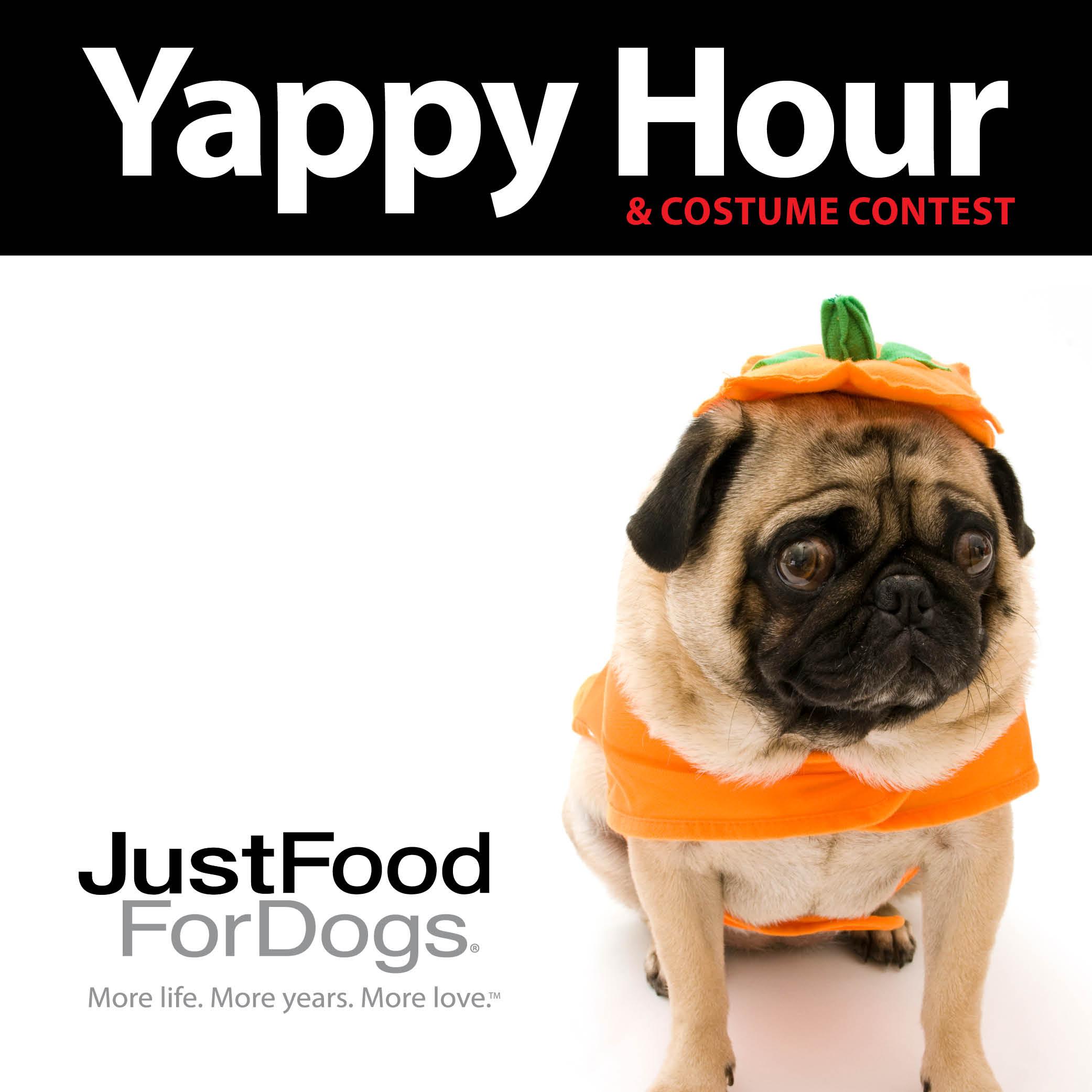 BringFido to Halloween Costume & Yappy Hour