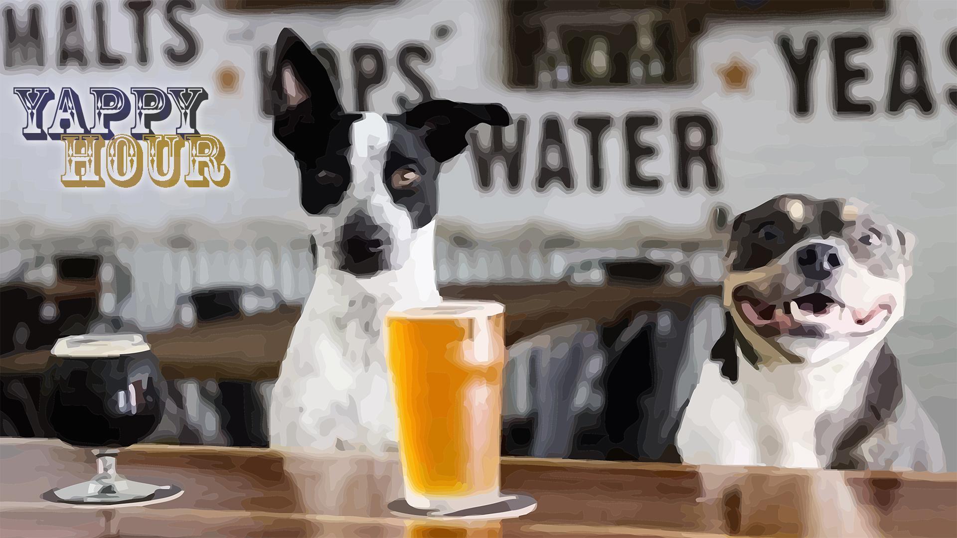 Happy Hour with your Dog in Lake Worth