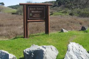 Back Ranch Meadows Campground Pet Policy