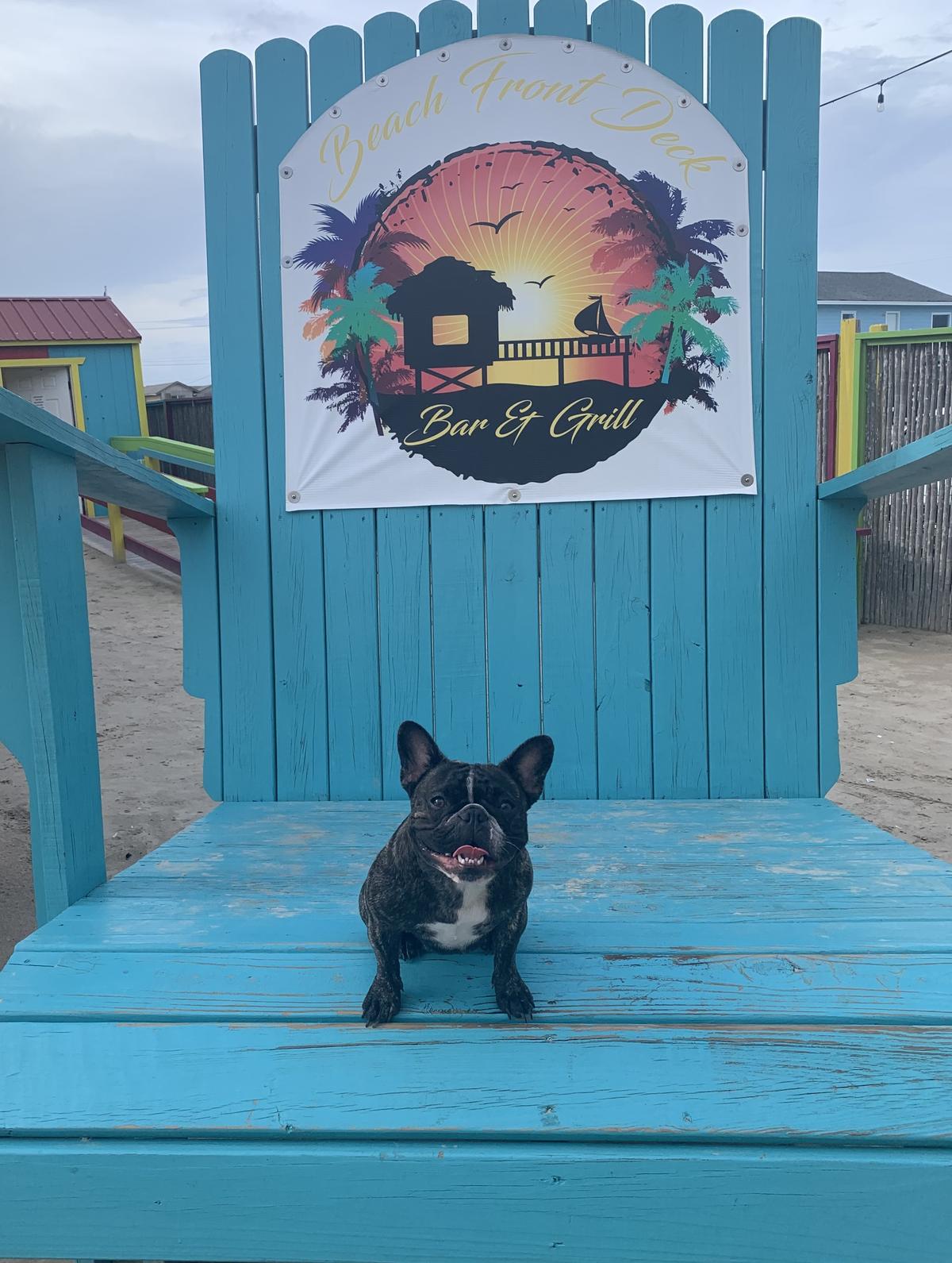 Beach Front Deck Bar & Grill Is Pet Friendly