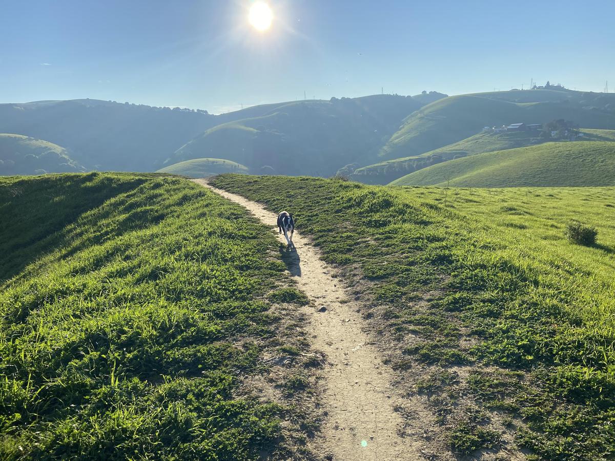 Bull Valley Staging Area