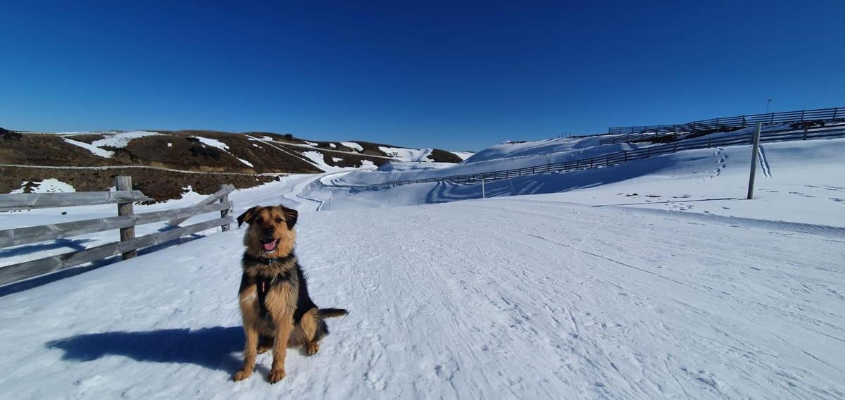 Snow Farm NZ