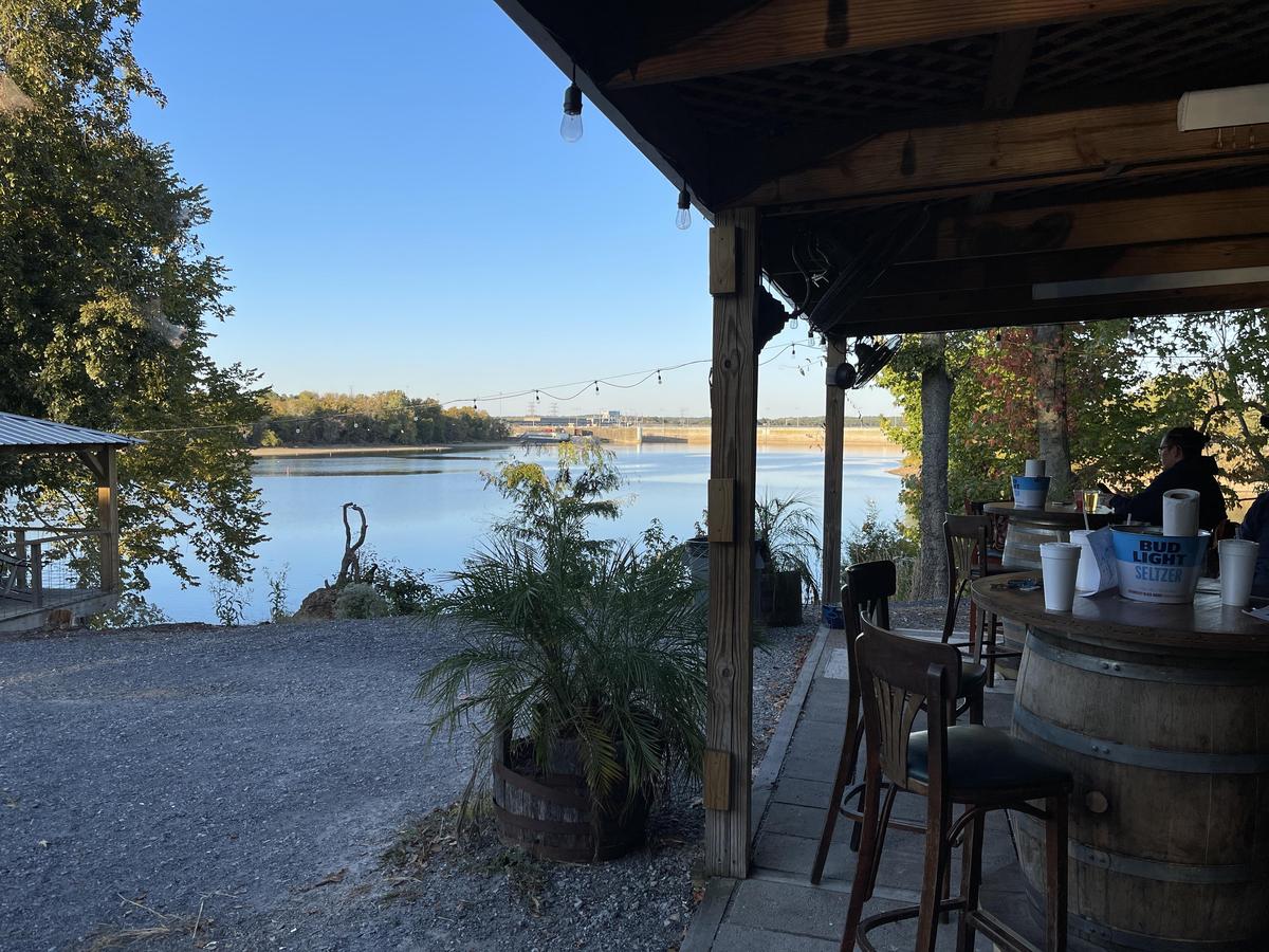 The Thirsty Turtle Tavern Pet Policy