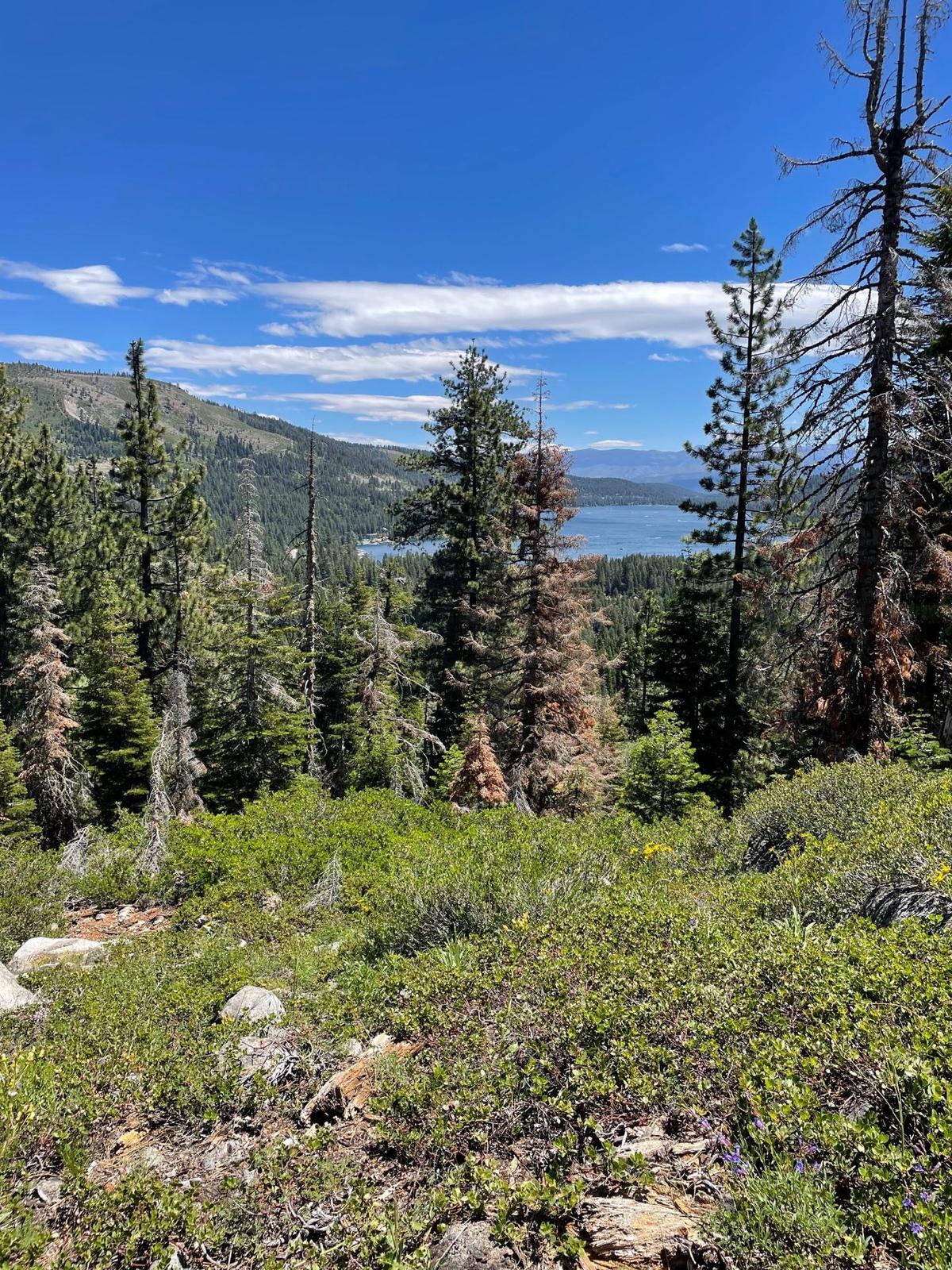 Donner Summit Canyon