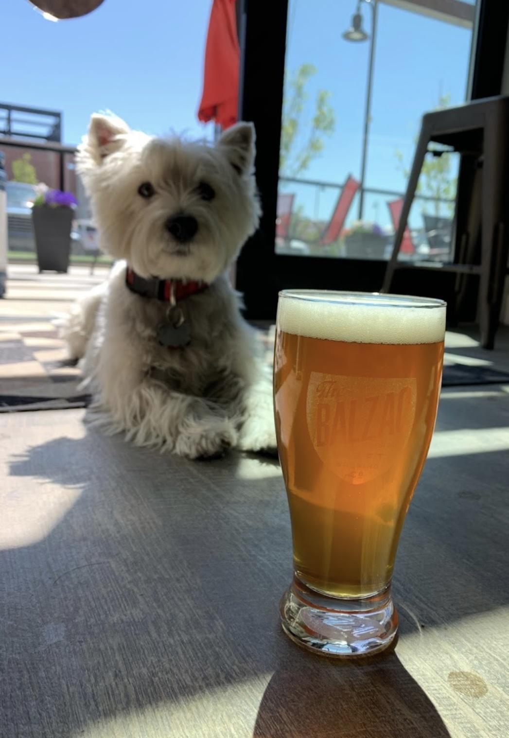 Balzac Craft Brewing Company