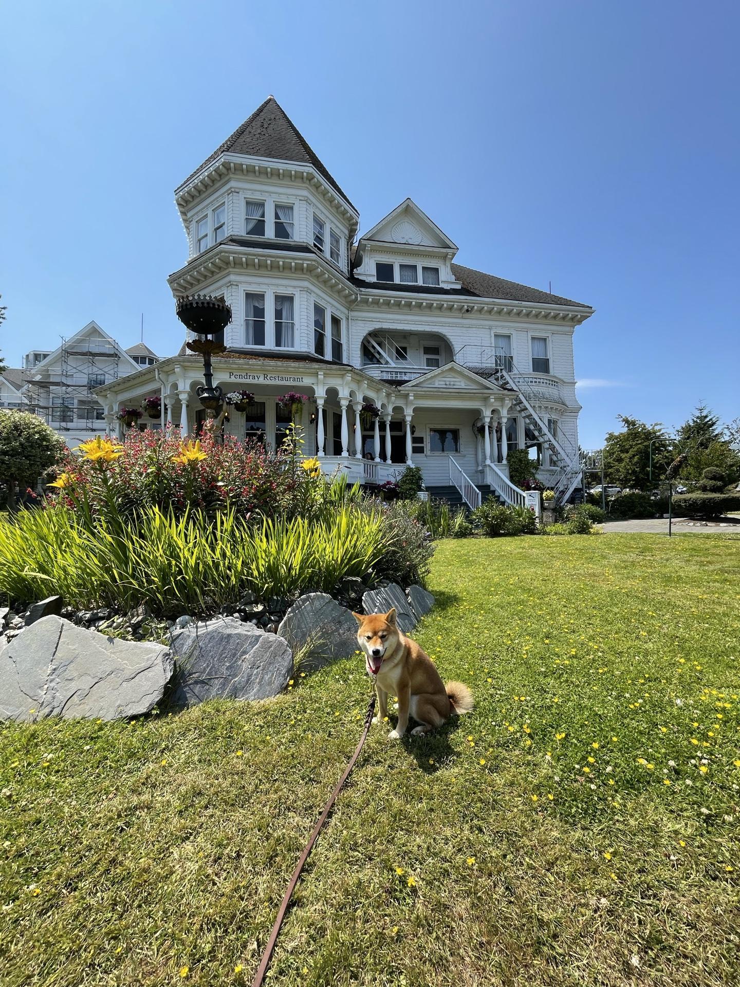 Pendray Tea House Pet Policy