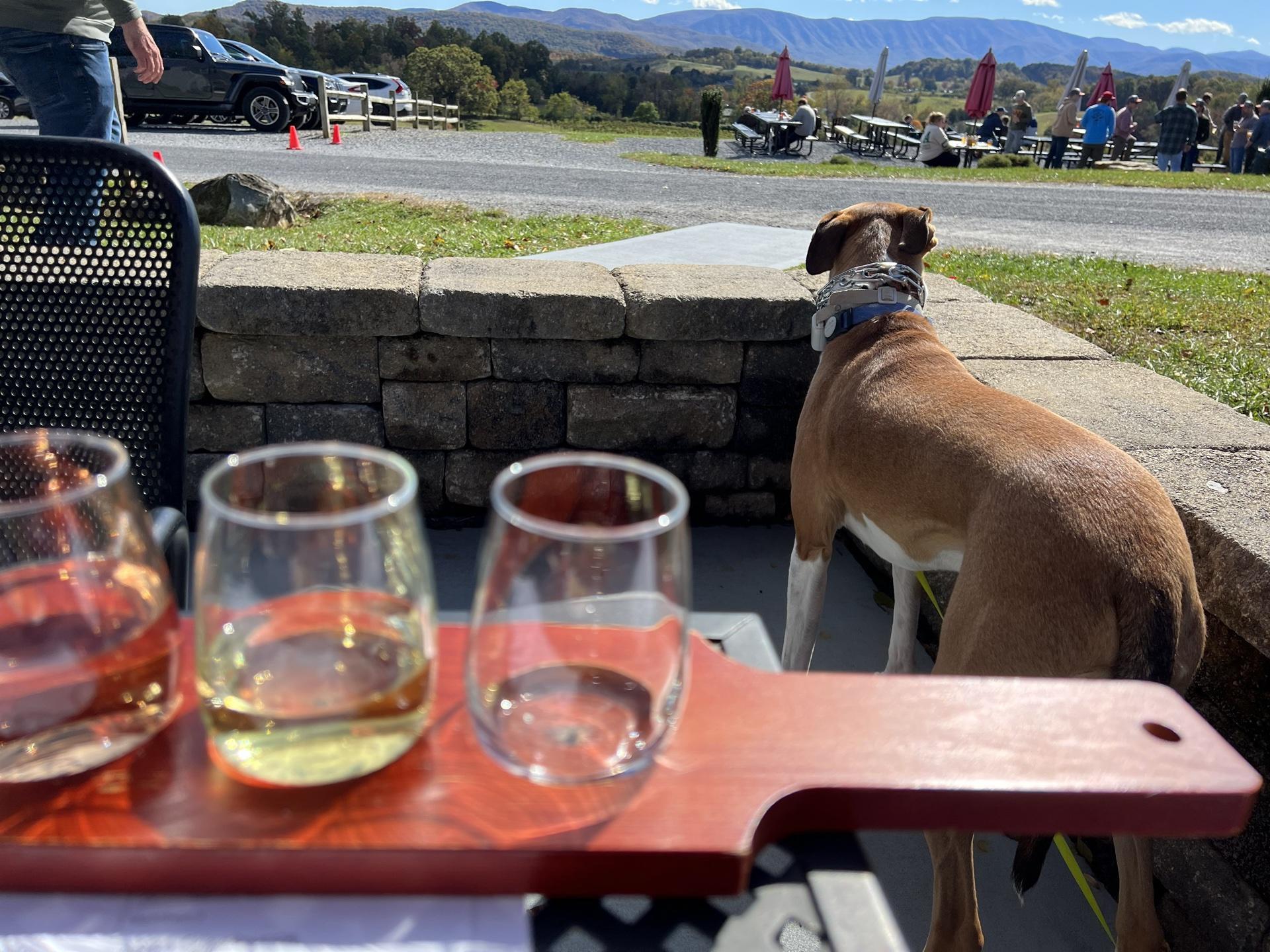 Great Valley Farm Brewery & Winery