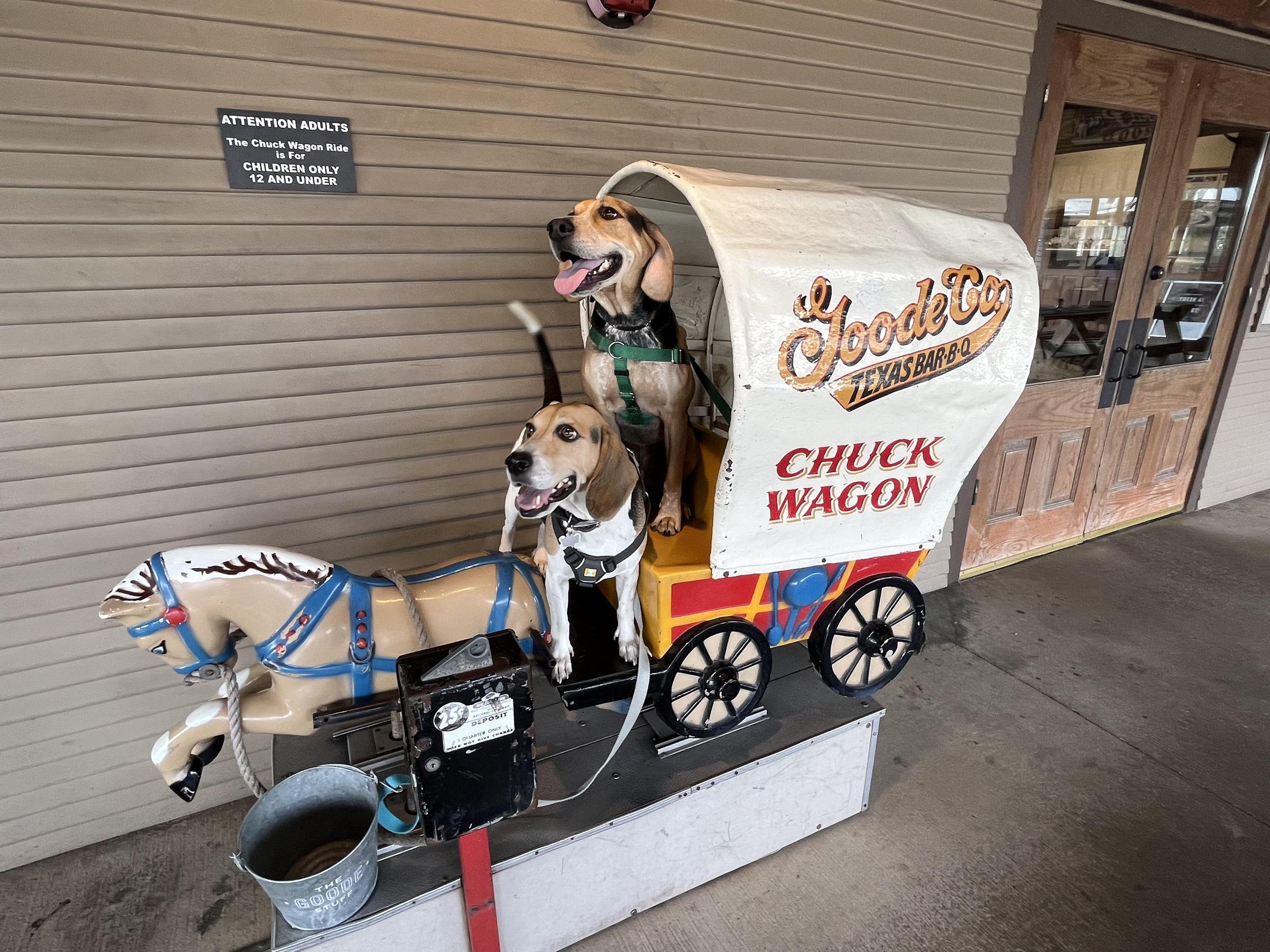 Goode Company BBQ Highway 290 Pet Policy