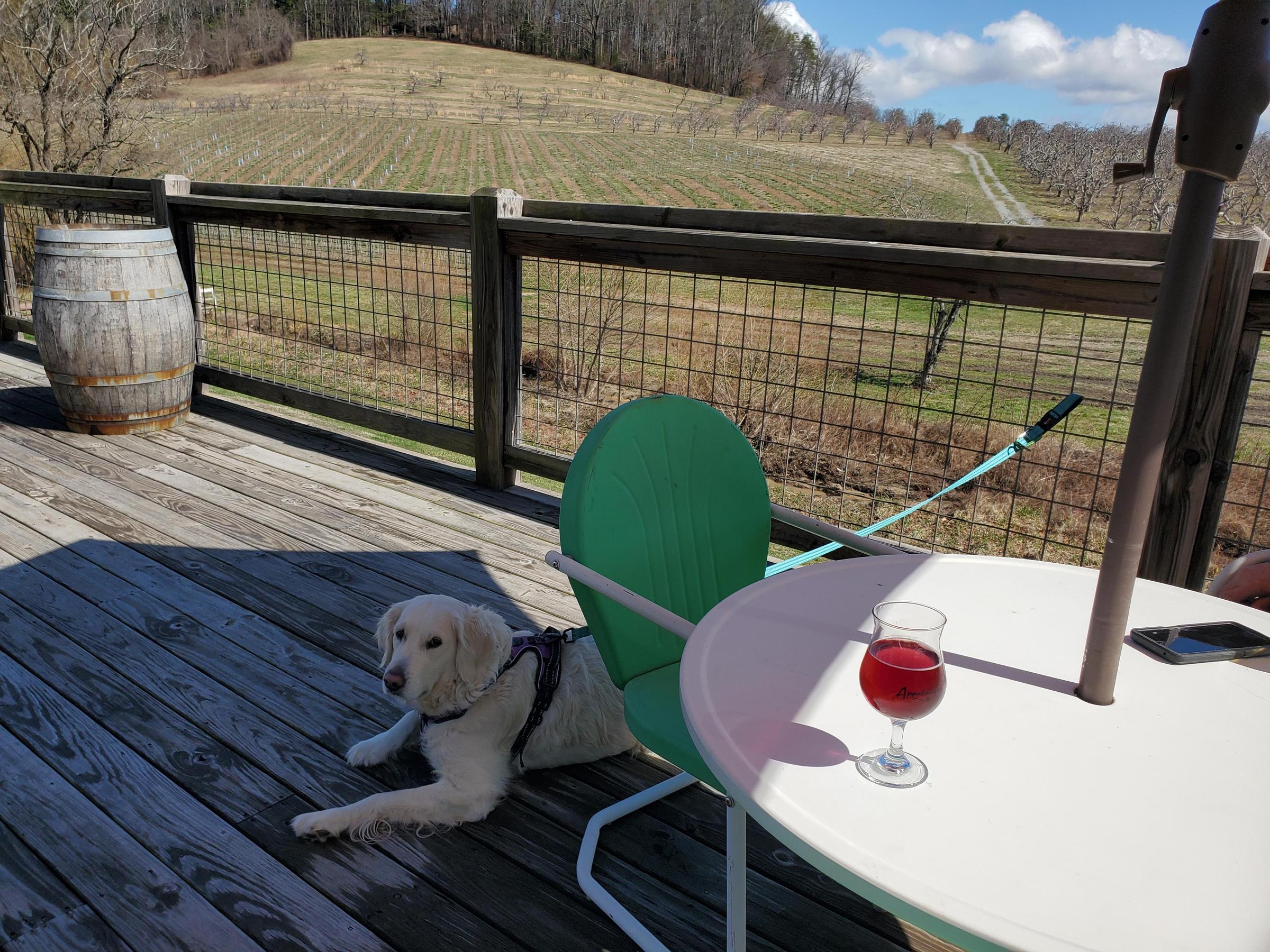 Appalachian Ridge Artisan Hard Cider