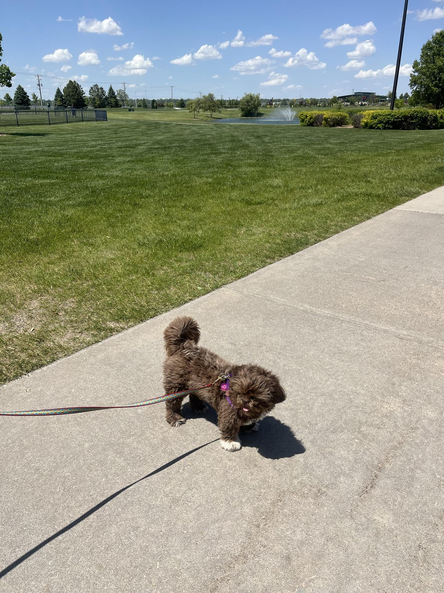 Yanney Heritage Park