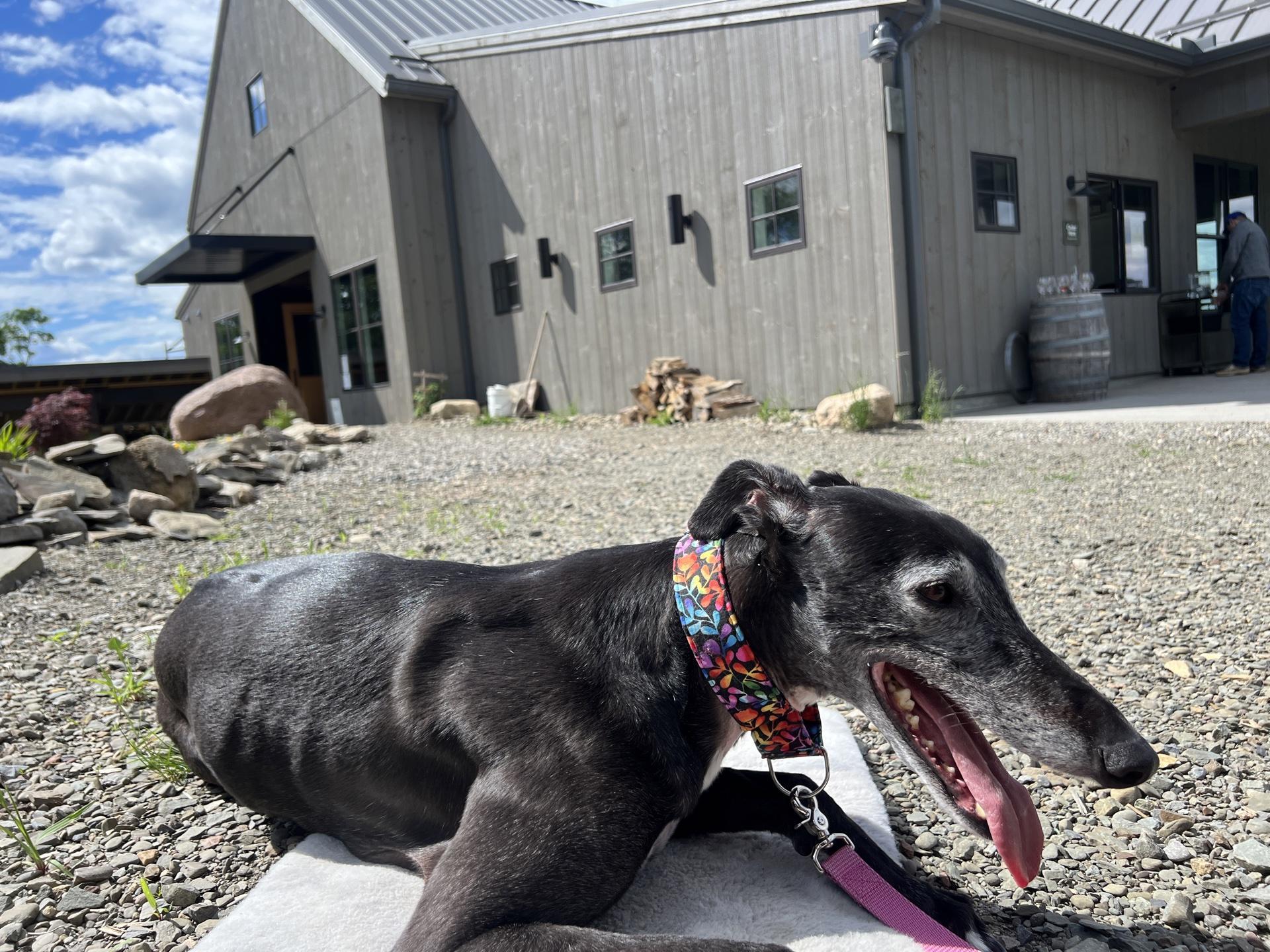 Living Roots Finger Lakes