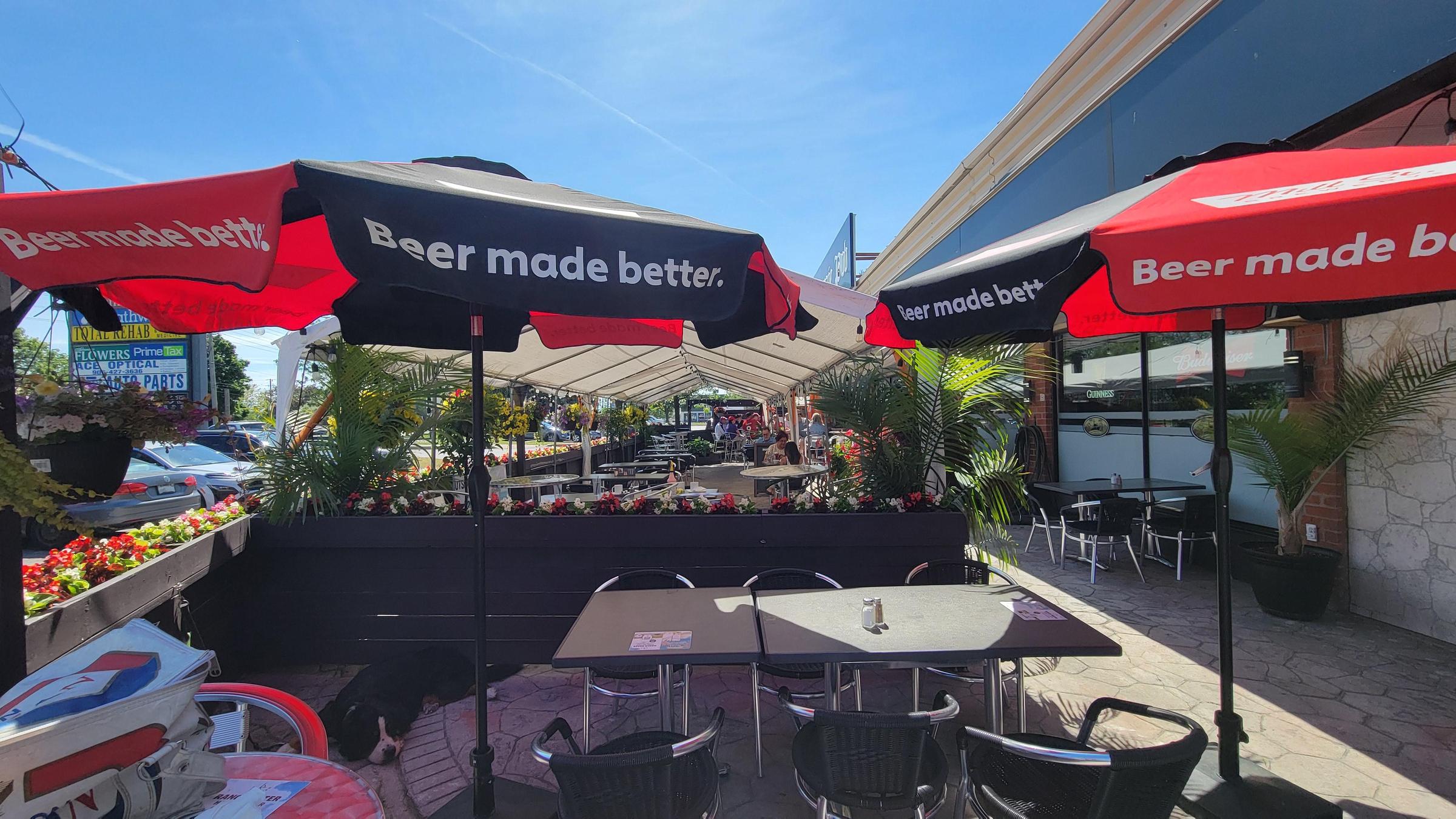 Mackenzie Pub Pet Policy