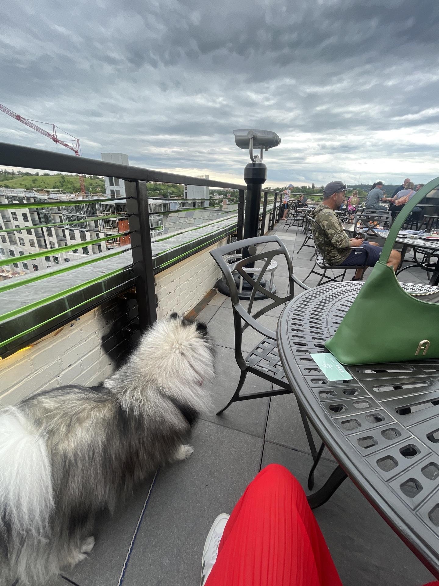 Juniper at Vertex Sky Bar Pet Policy