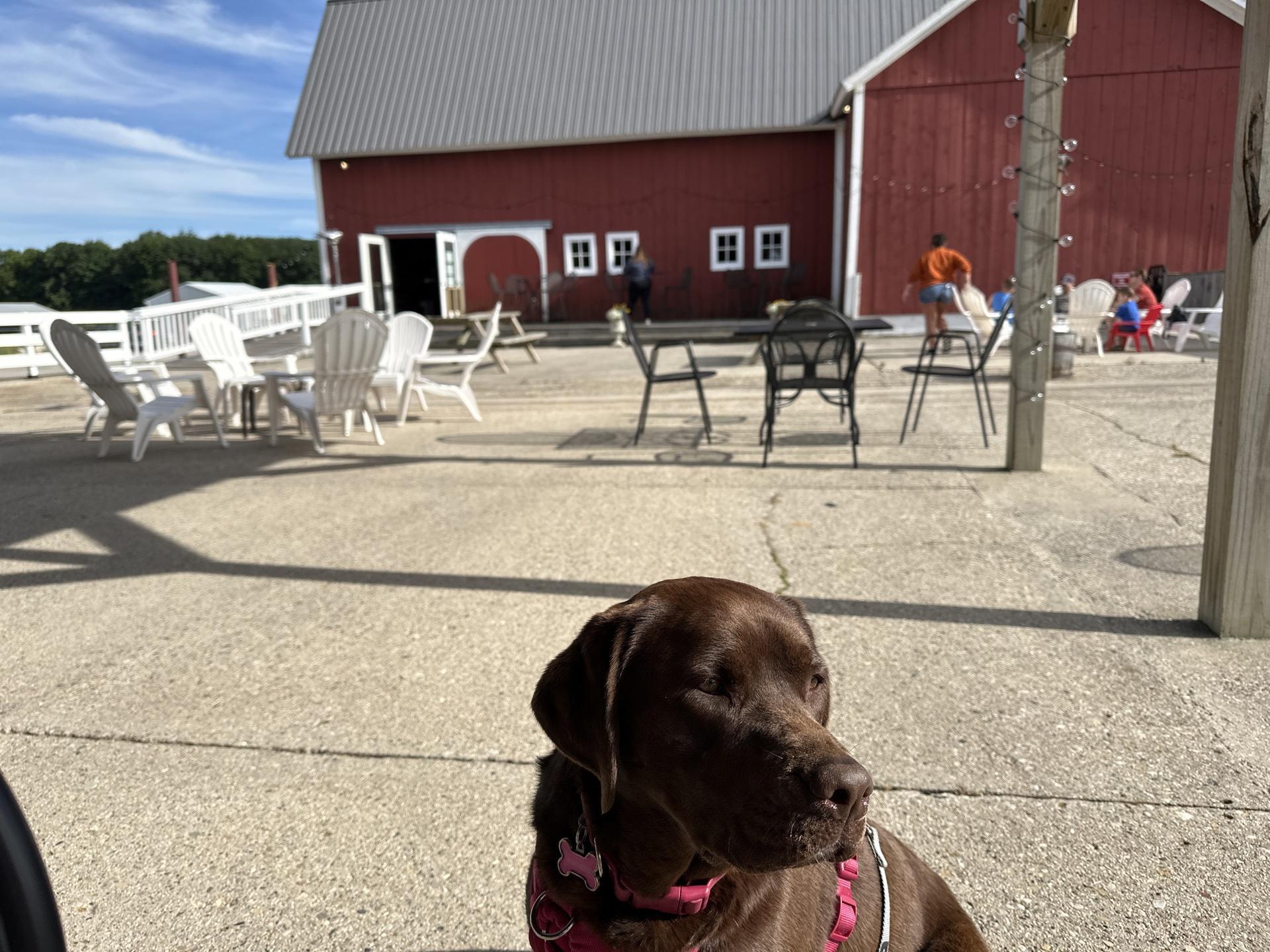 The Fox Barn