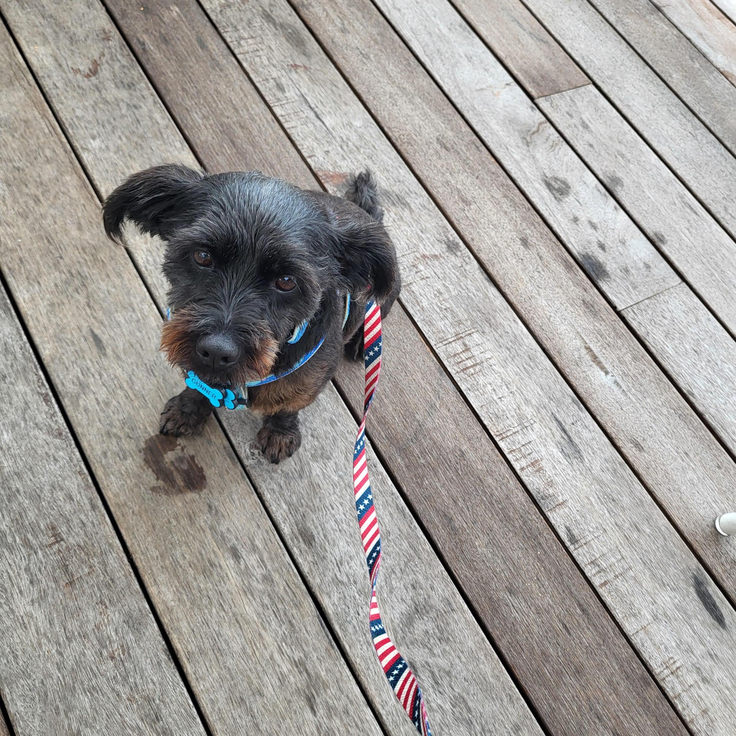 Sail Loft Pet Policy