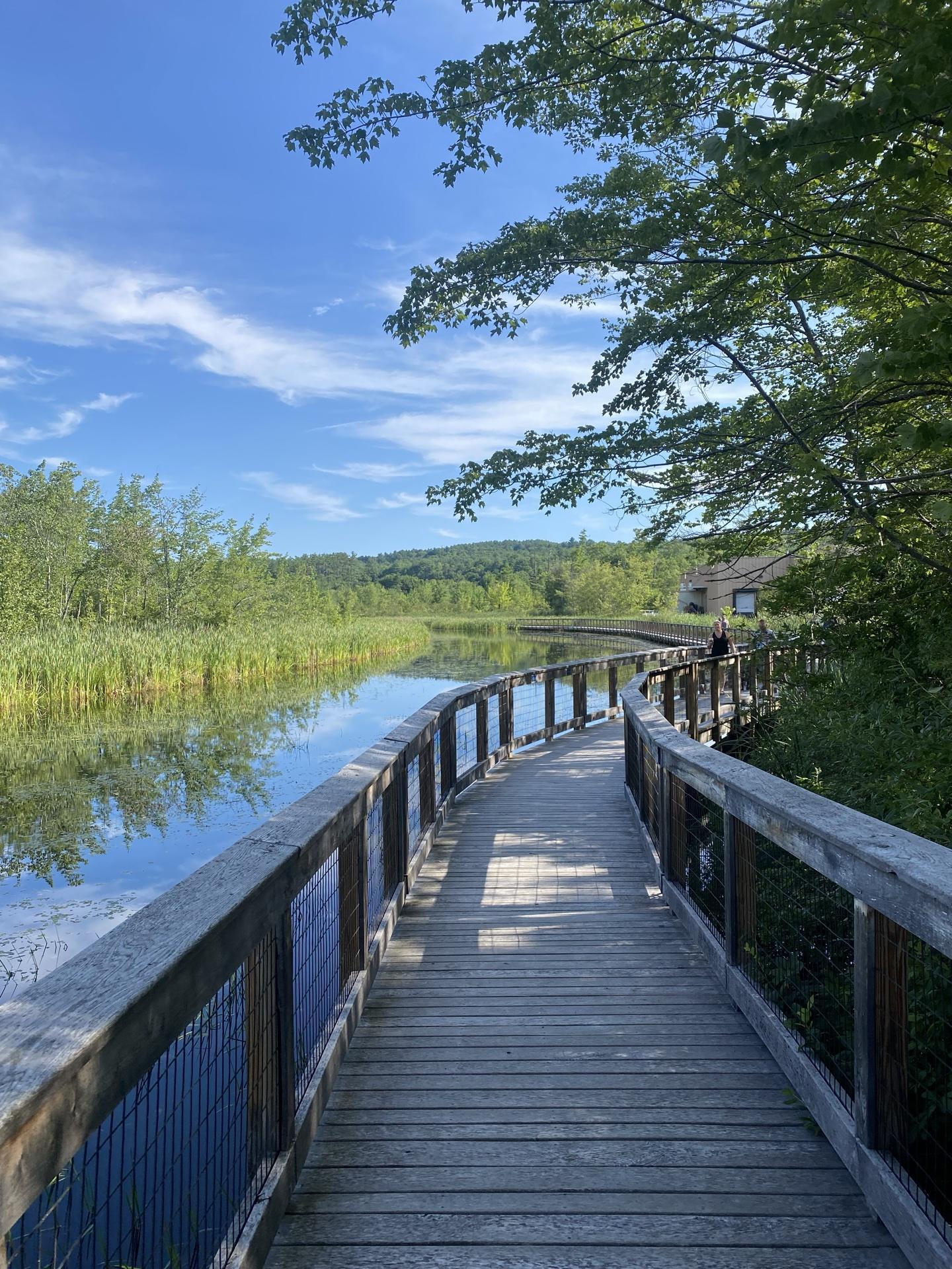 Laverack Nature Trail at Hawkins Brook