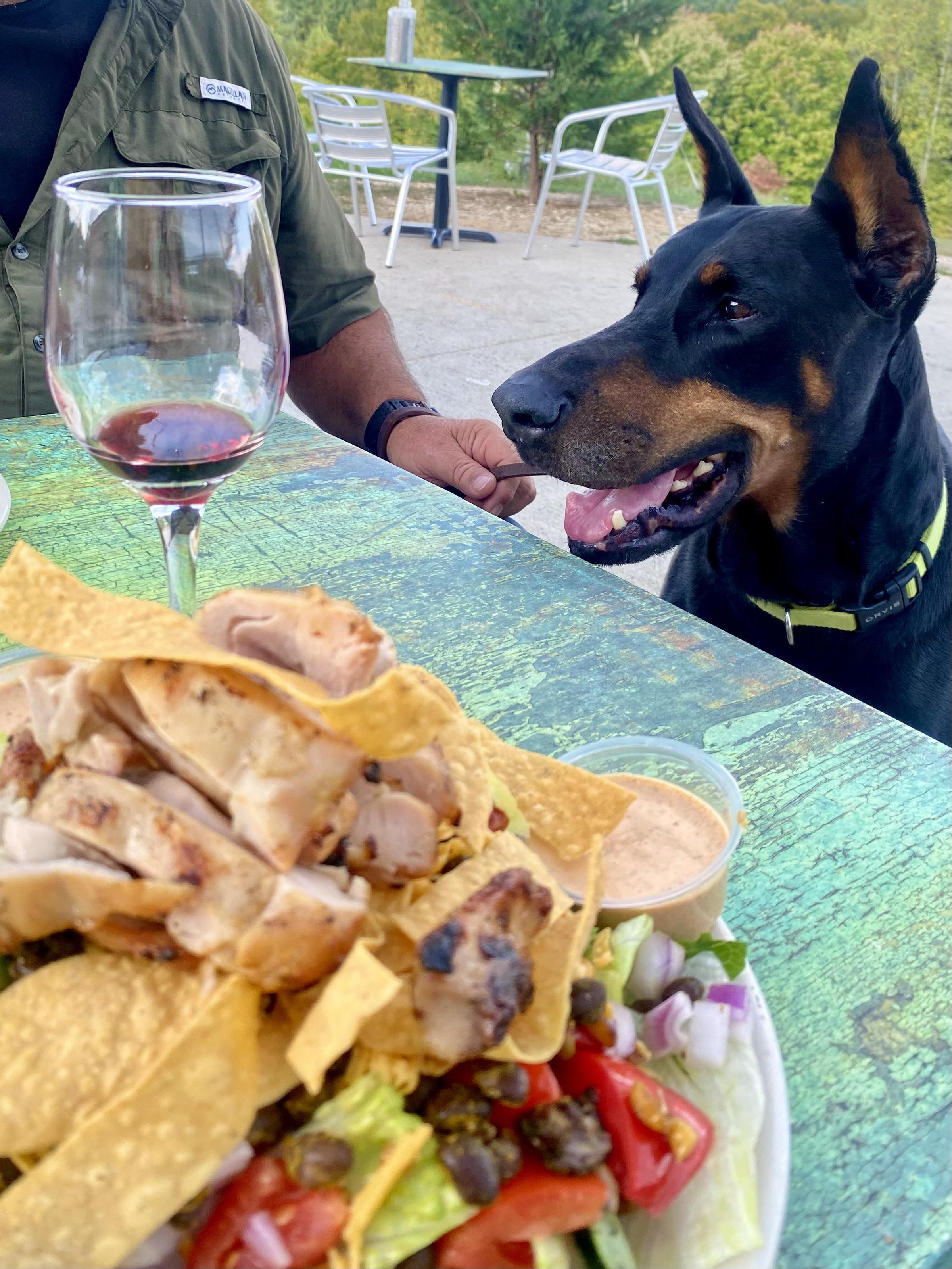 RedPoint BBQ Pet Policy