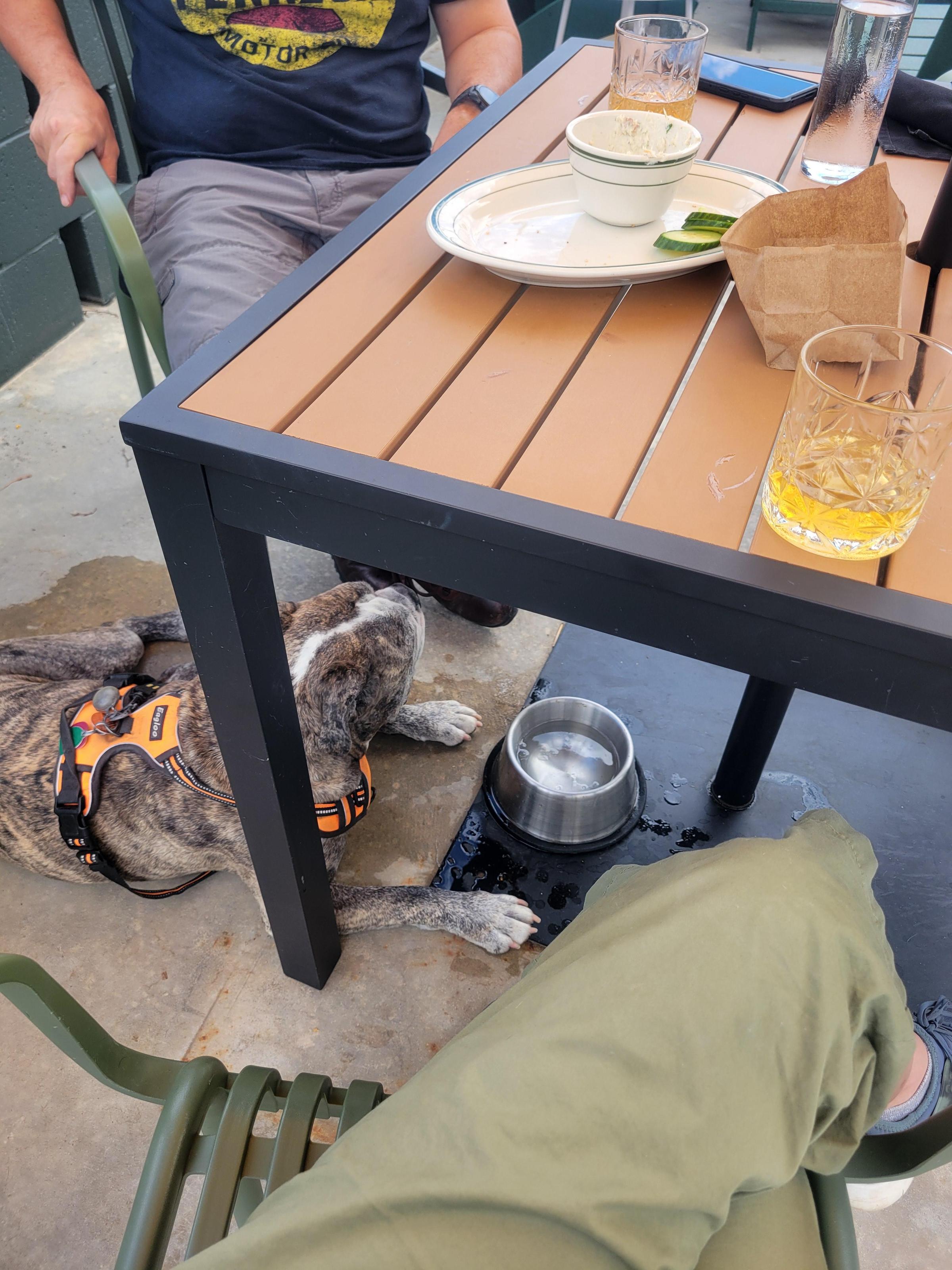 Longleaf Distilling Co. Pet Policy