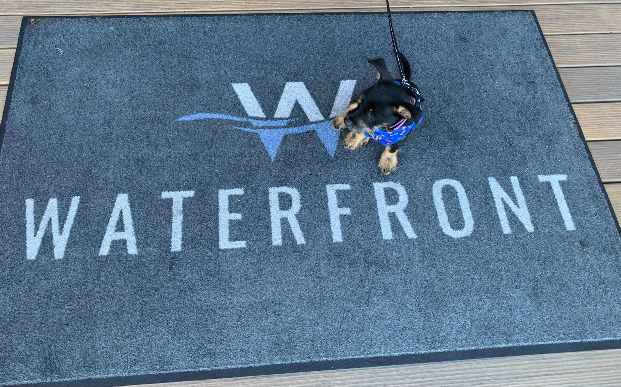 Waterfront Pet Policy