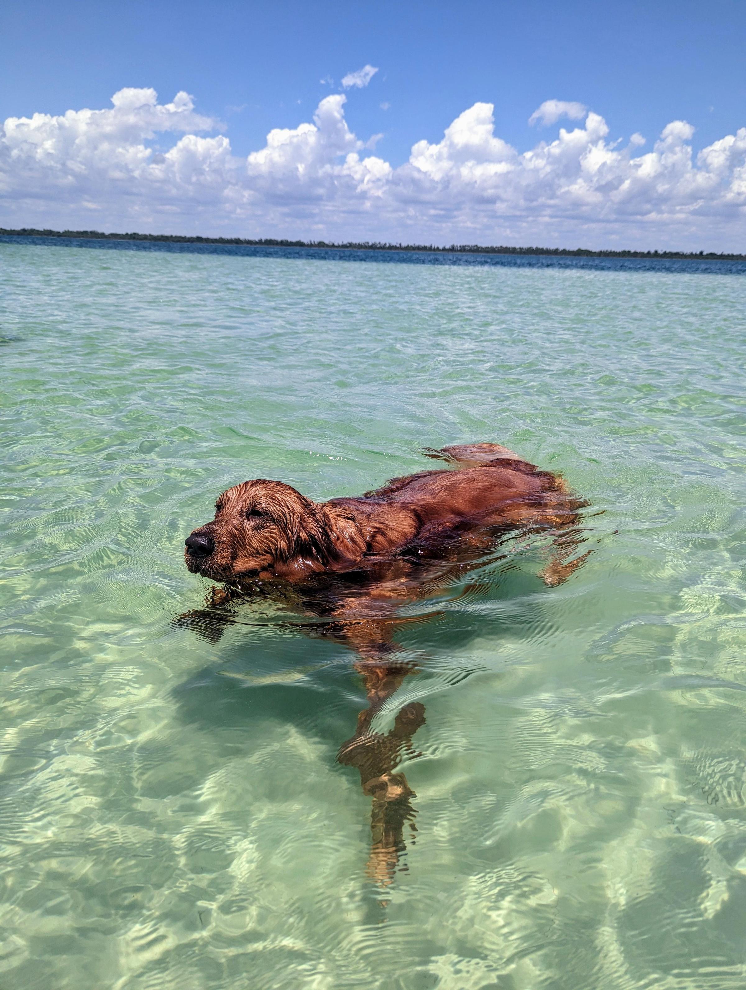 Flippin' Awesome Adventures