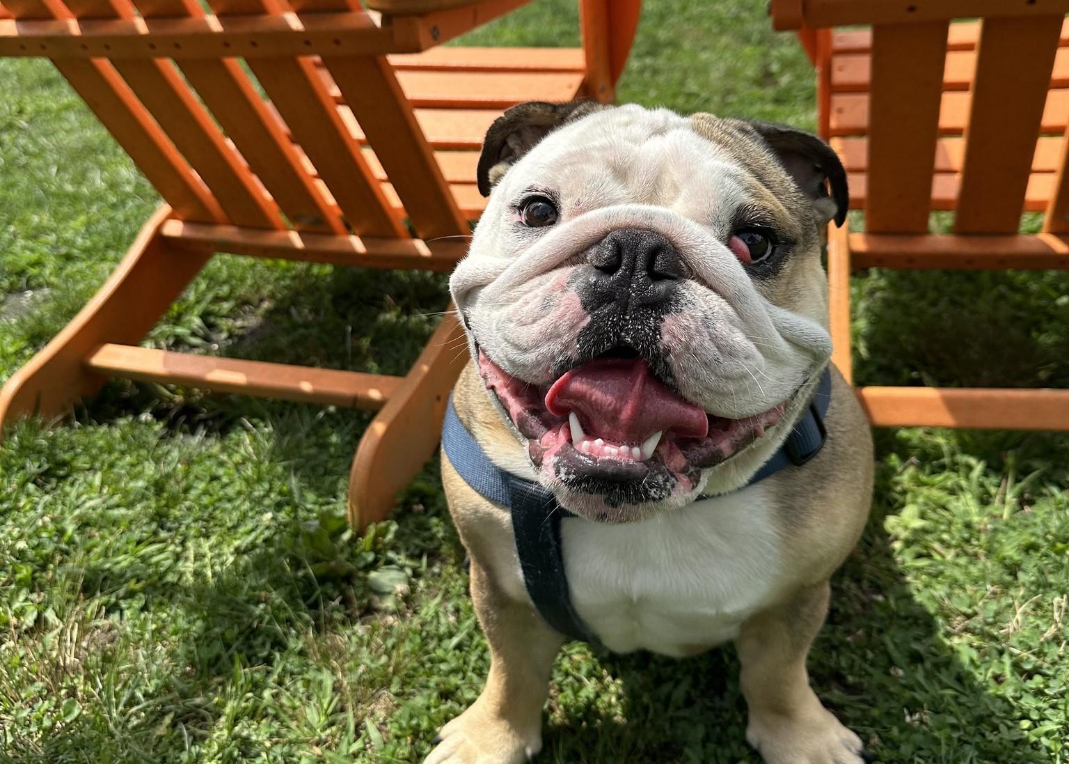 Ragged Island Brewing Company