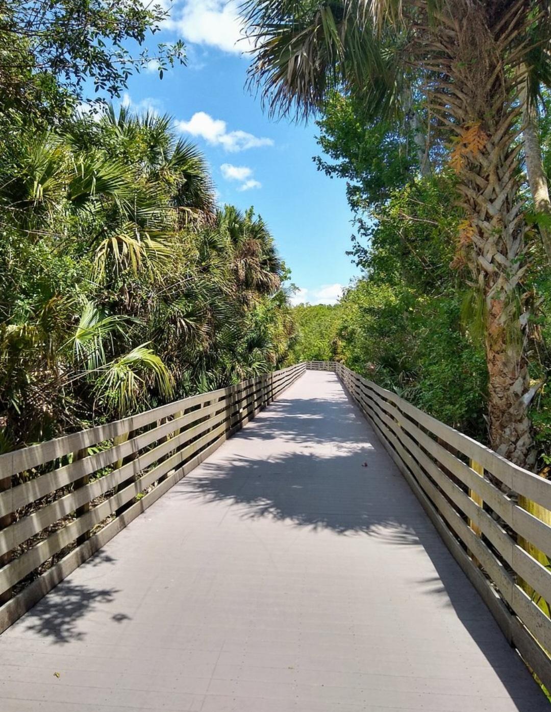 Brevard Zoo Linear Park