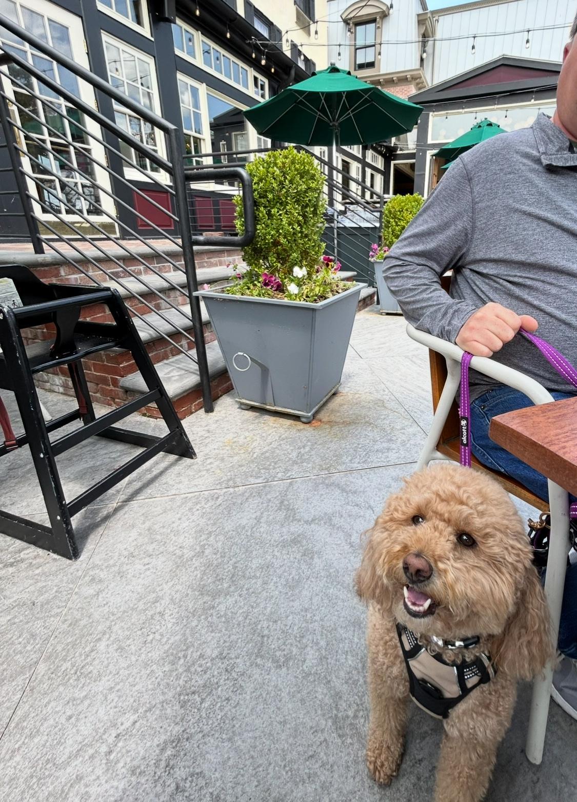 Logan Inn Restaurant Pet Policy