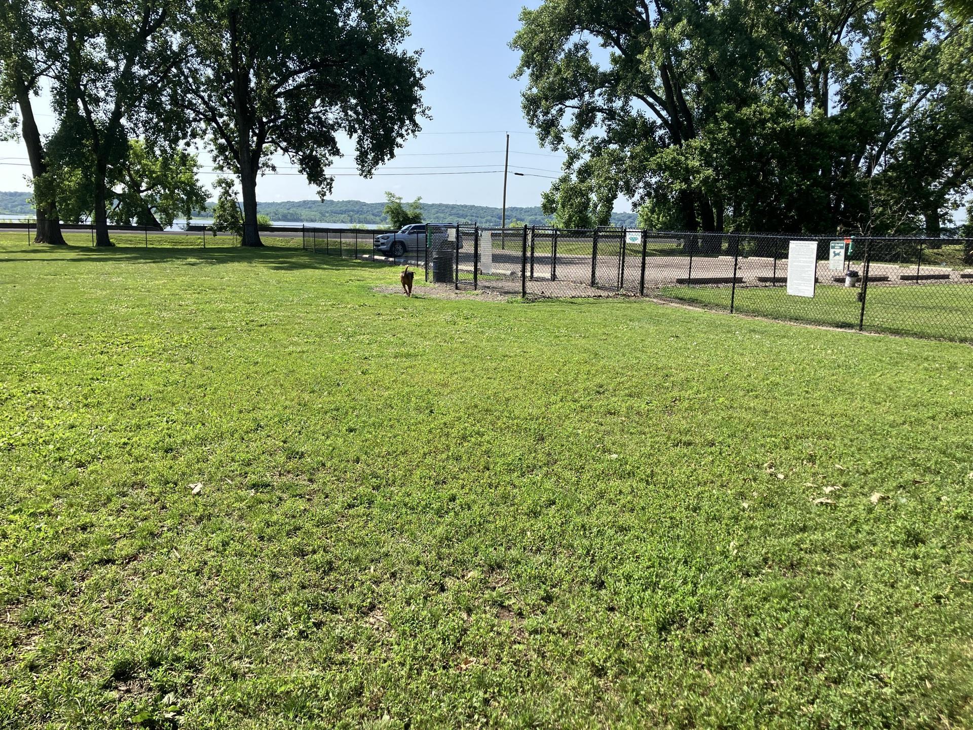 Walnut Dog Park
