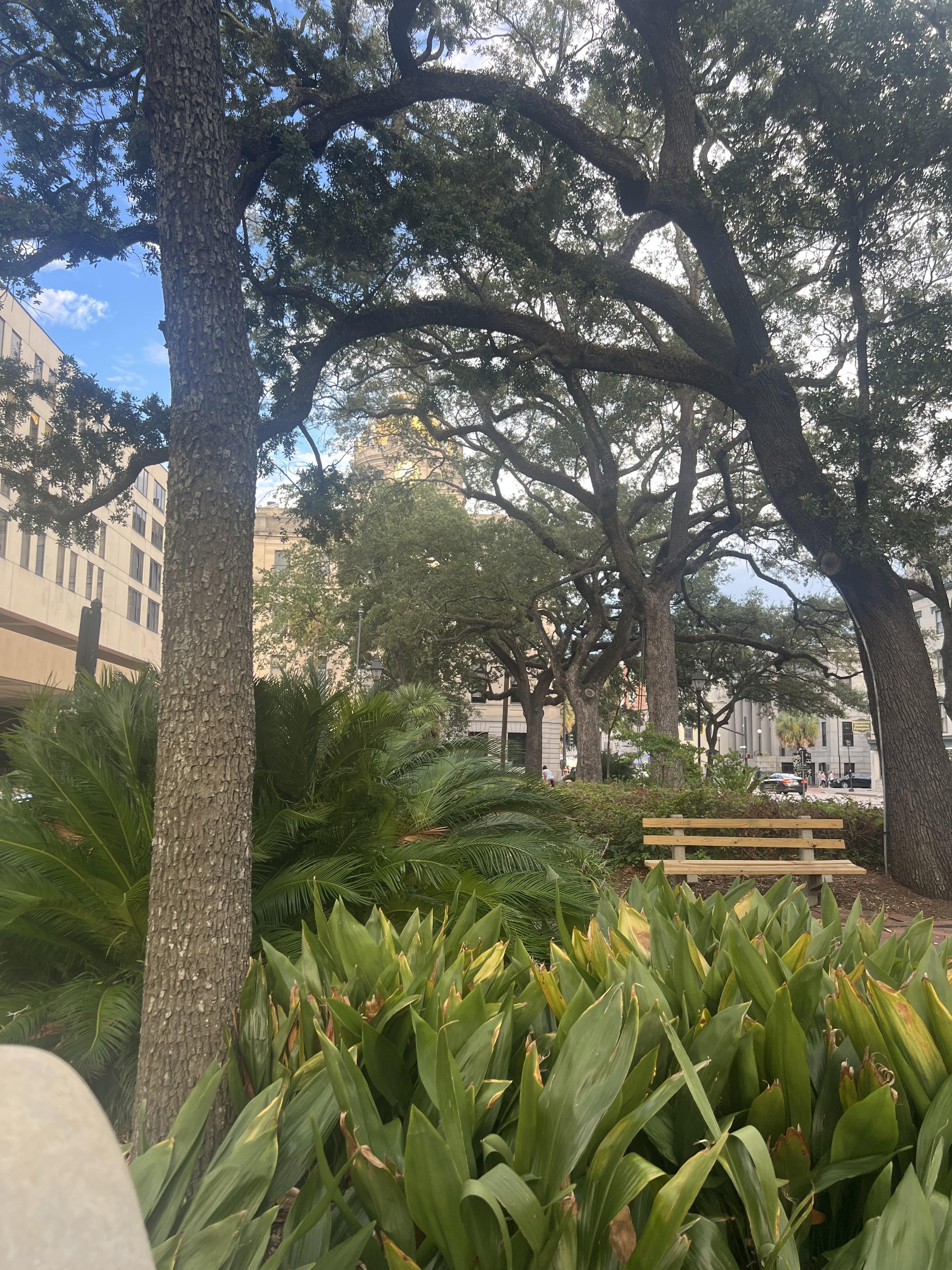 Savannah True History Tours
