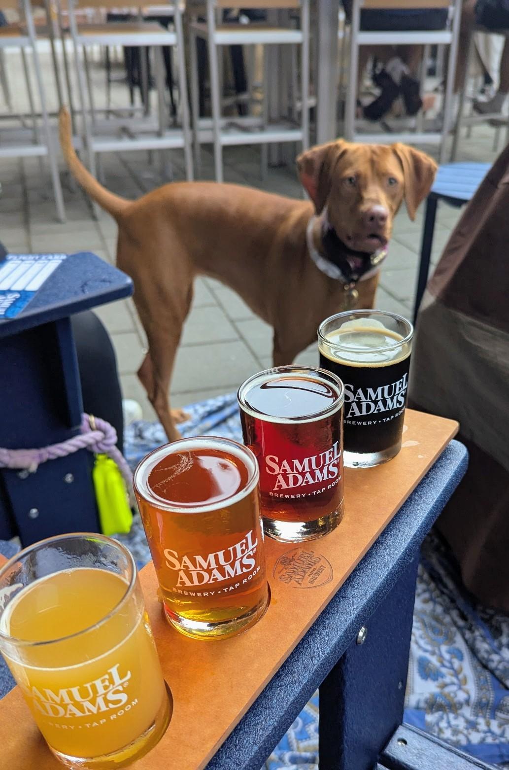Samuel Adams Boston Brewery Pet Policy
