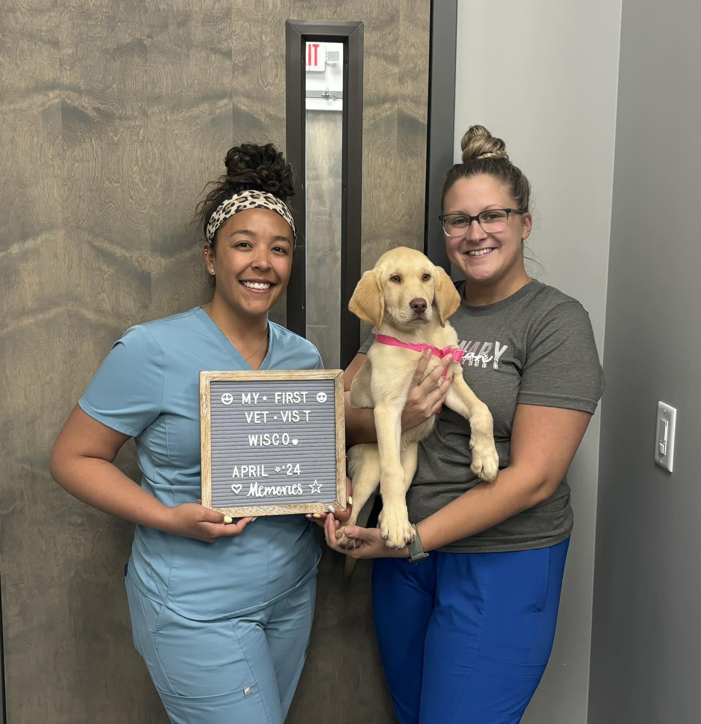 Keystone Animal Hospital