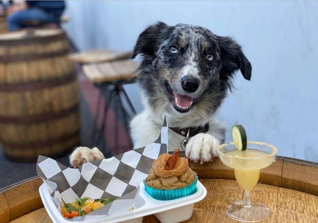 The Pup Shack, A Food Truck for Dogs