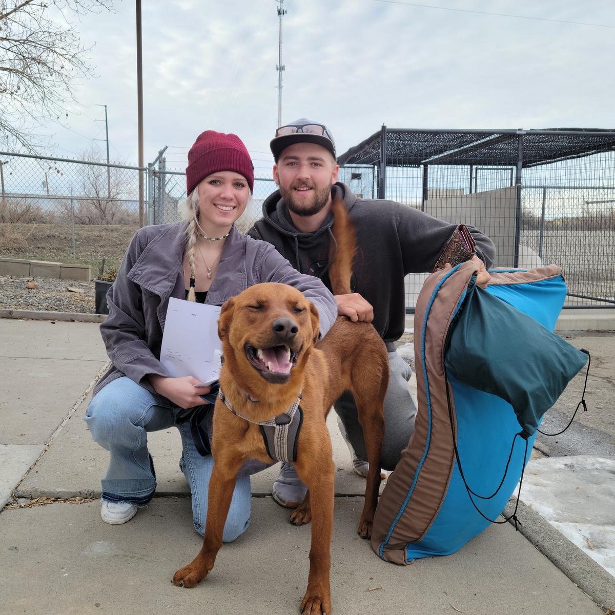 Directory of Animal Shelters in Historic Grand Junction, CO - BringFido