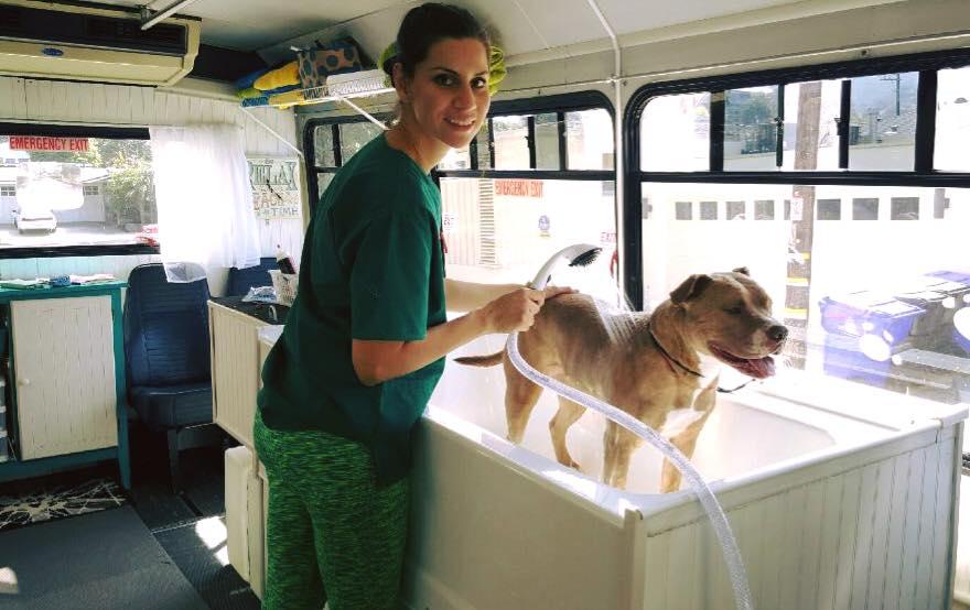 SAN DOGGY Mobile Grooming