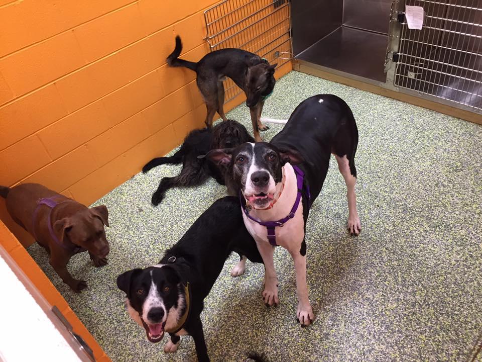 Zeus' Place Downtown