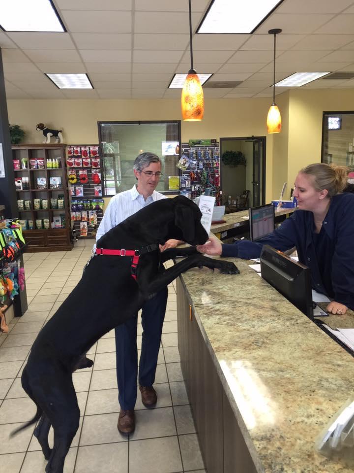 Case Veterinary Hospital