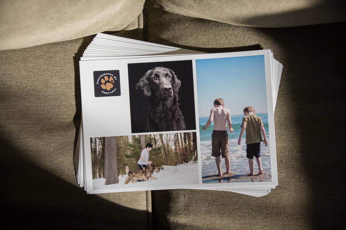 Fred Levy Art Photography