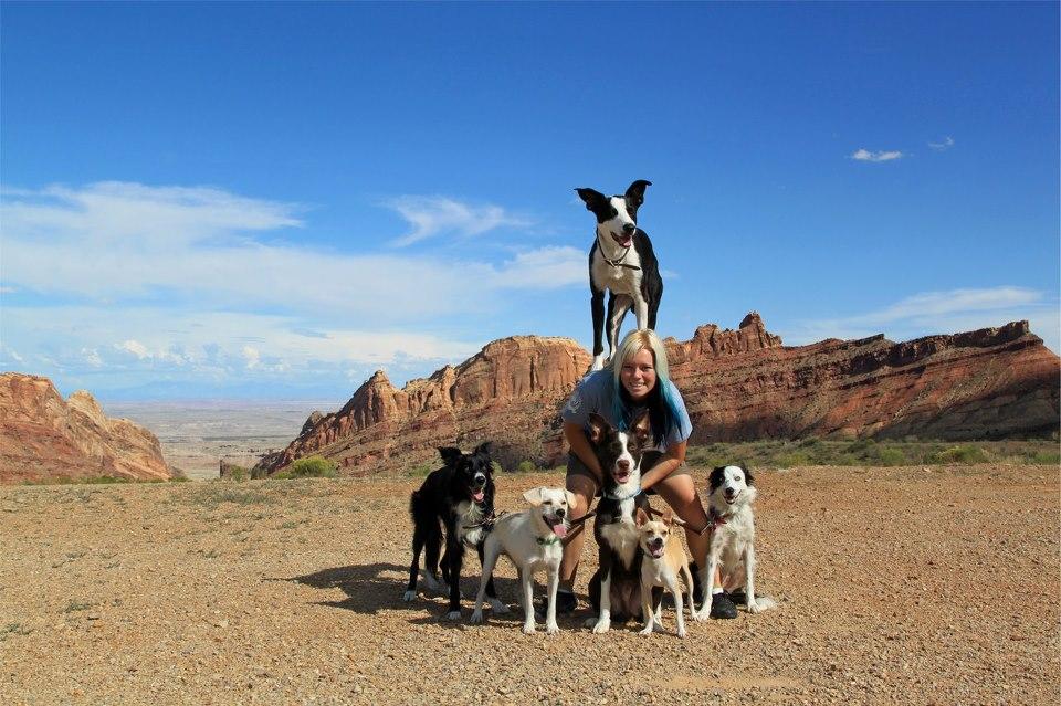 Sky High Flying Canines