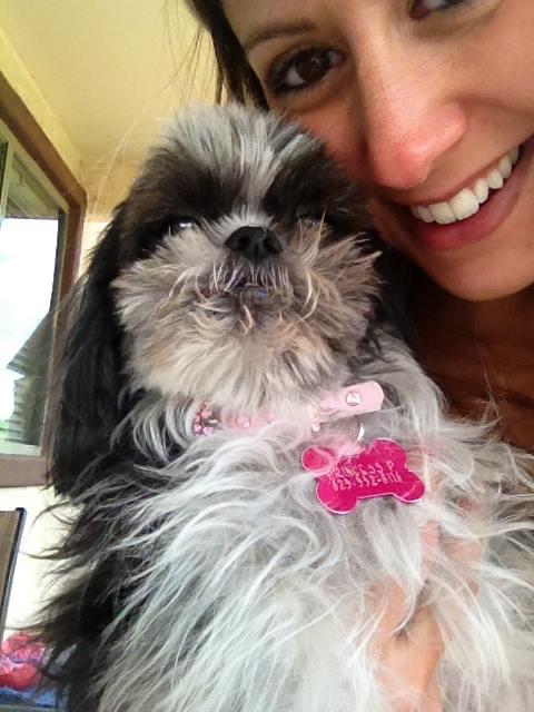 Prancing Paws Dog Walking and Pet Sitting