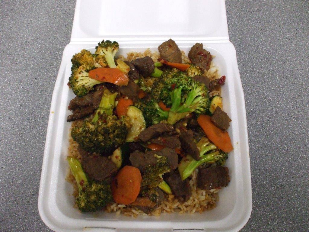 New Sagaya Is Pet Friendly