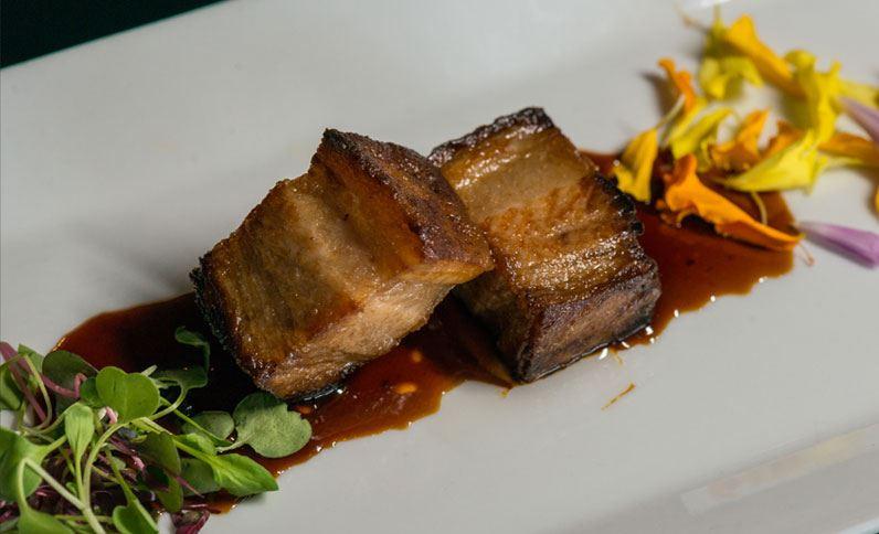 (Closed) Harbour View Cafe Pet Policy